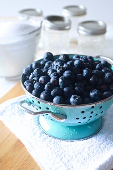 Blueberry Ginger Jam | TheNoshery.com