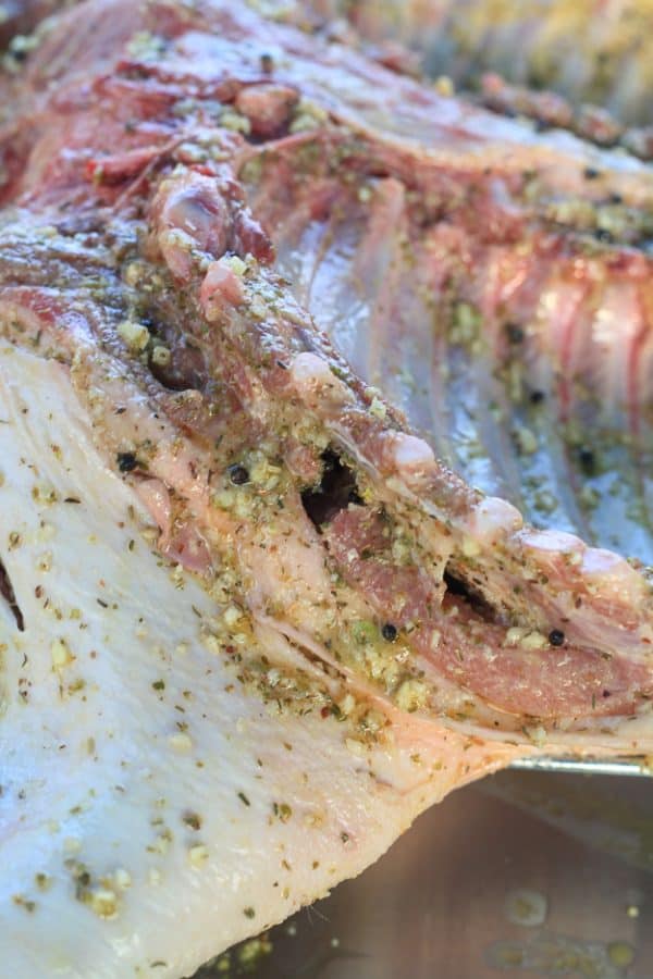 Whole Pig Roast (Lechón Asado) - The Noshery