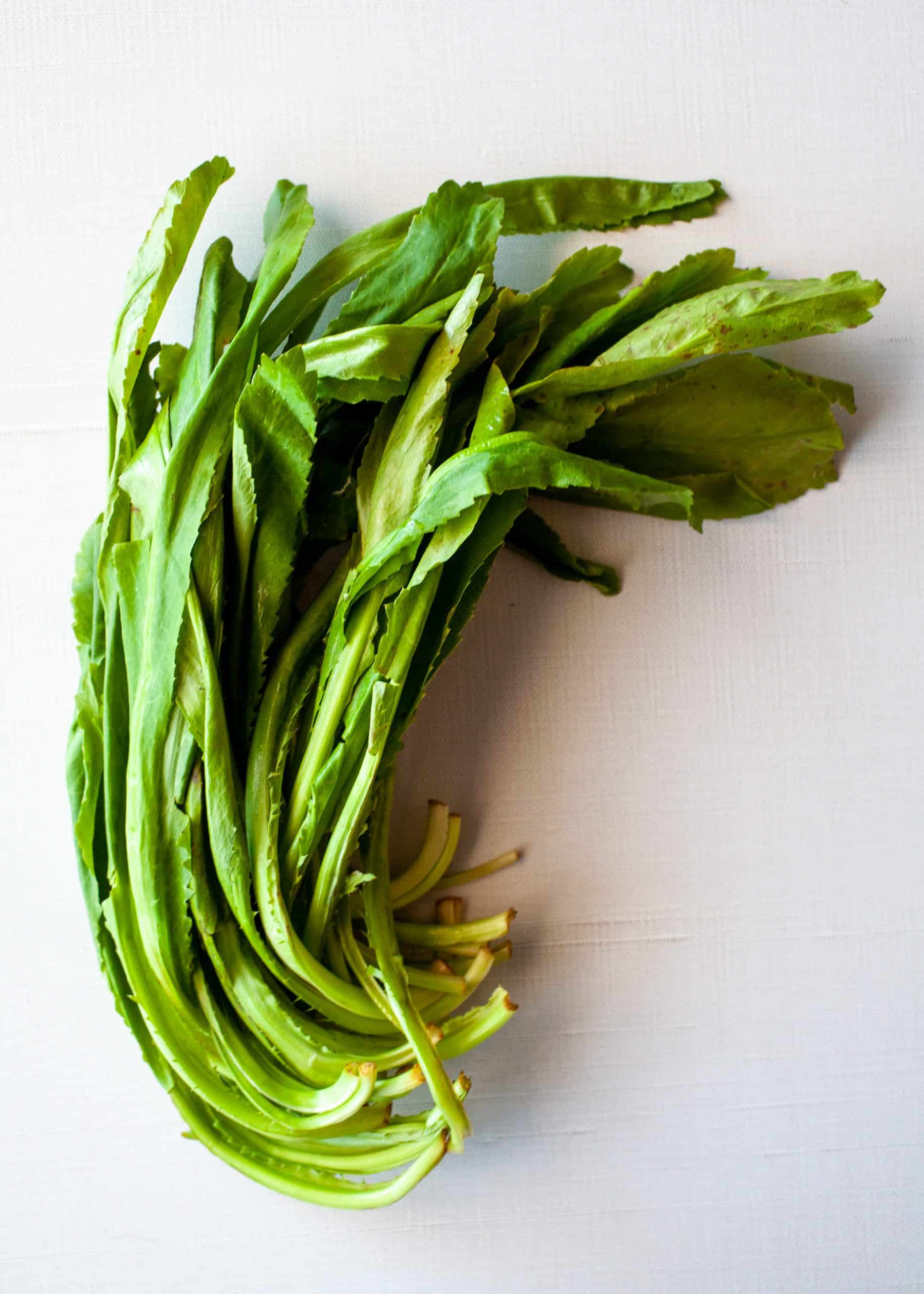 Recaito (Puerto Rican Sofrito) | The Secret to Puerto Rican Flavor ...